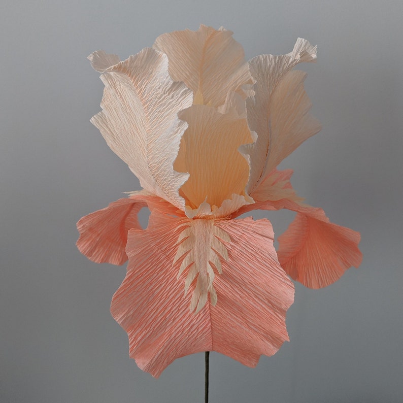 Downloadable Crepe Paper Iris Template/pdf Printable Download/diy Paper ...