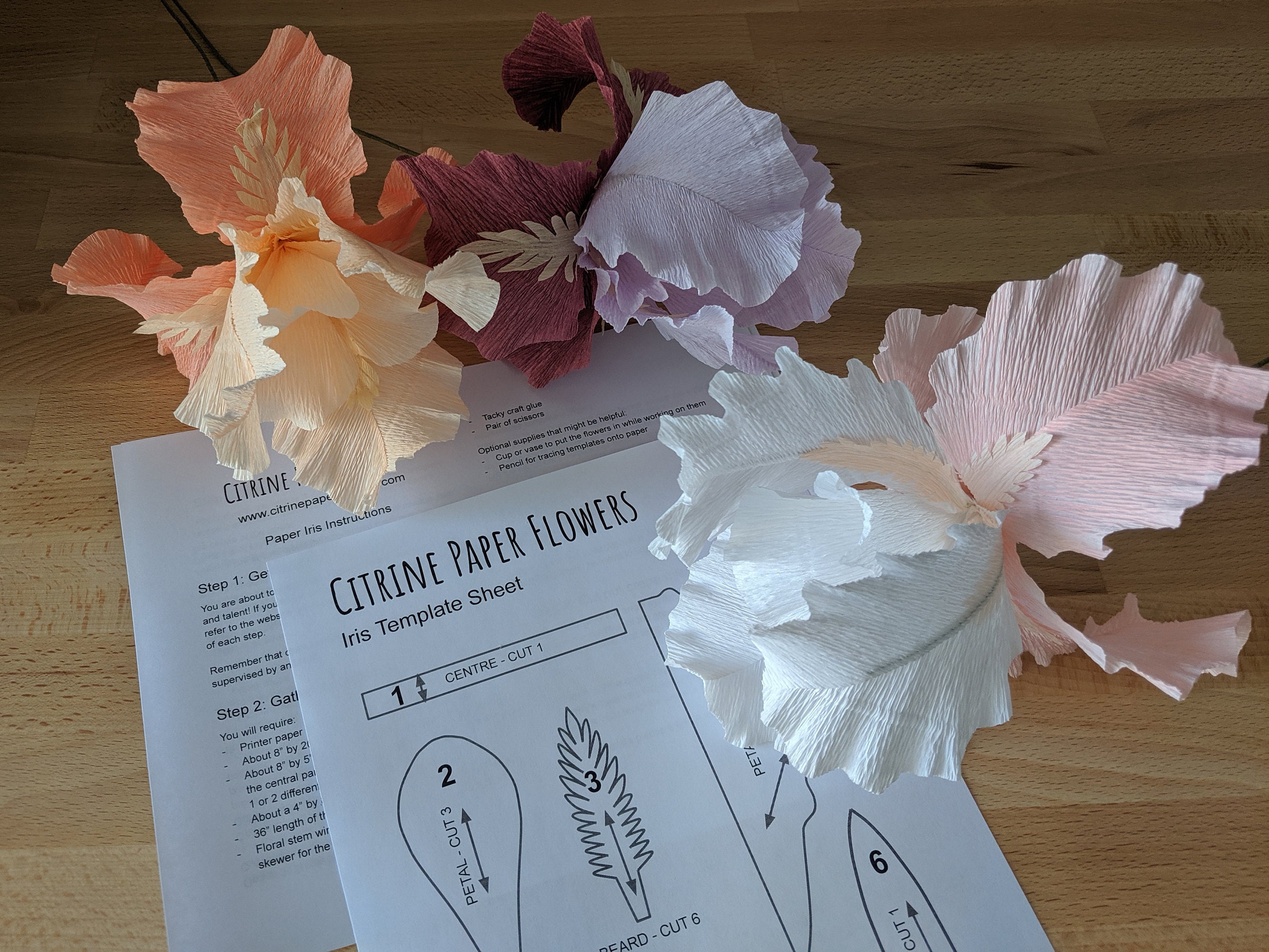 Downloadable Crepe Paper Iris Template/pdf Printable Download/diy Paper ...