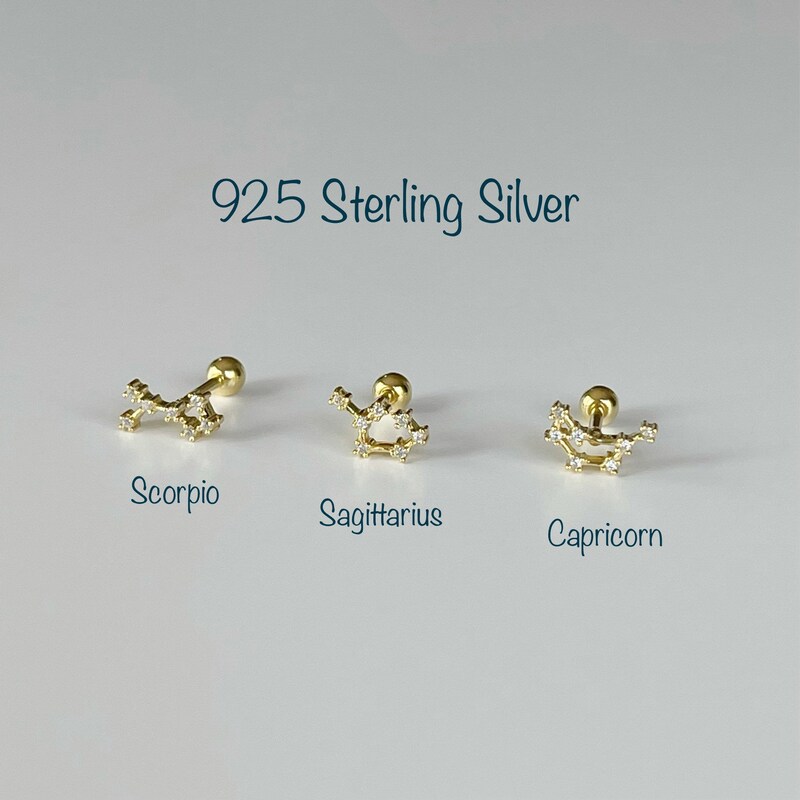 Capricorn Earrings - Etsy