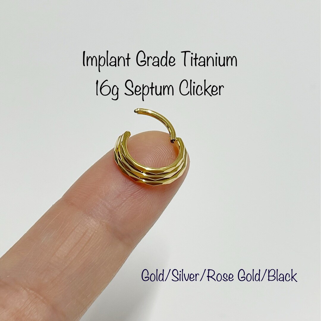 16g Implant Grade Titanium Septum Hoop: Hinged Segment Ring - Etsy