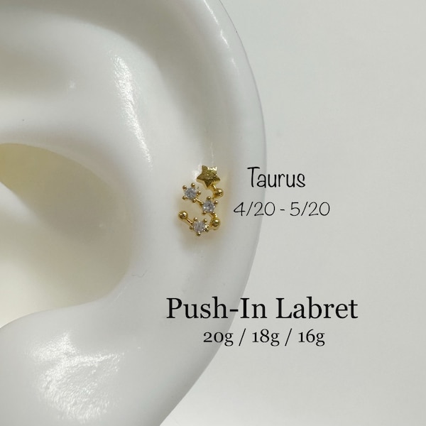 Taurus Constellation - Etsy