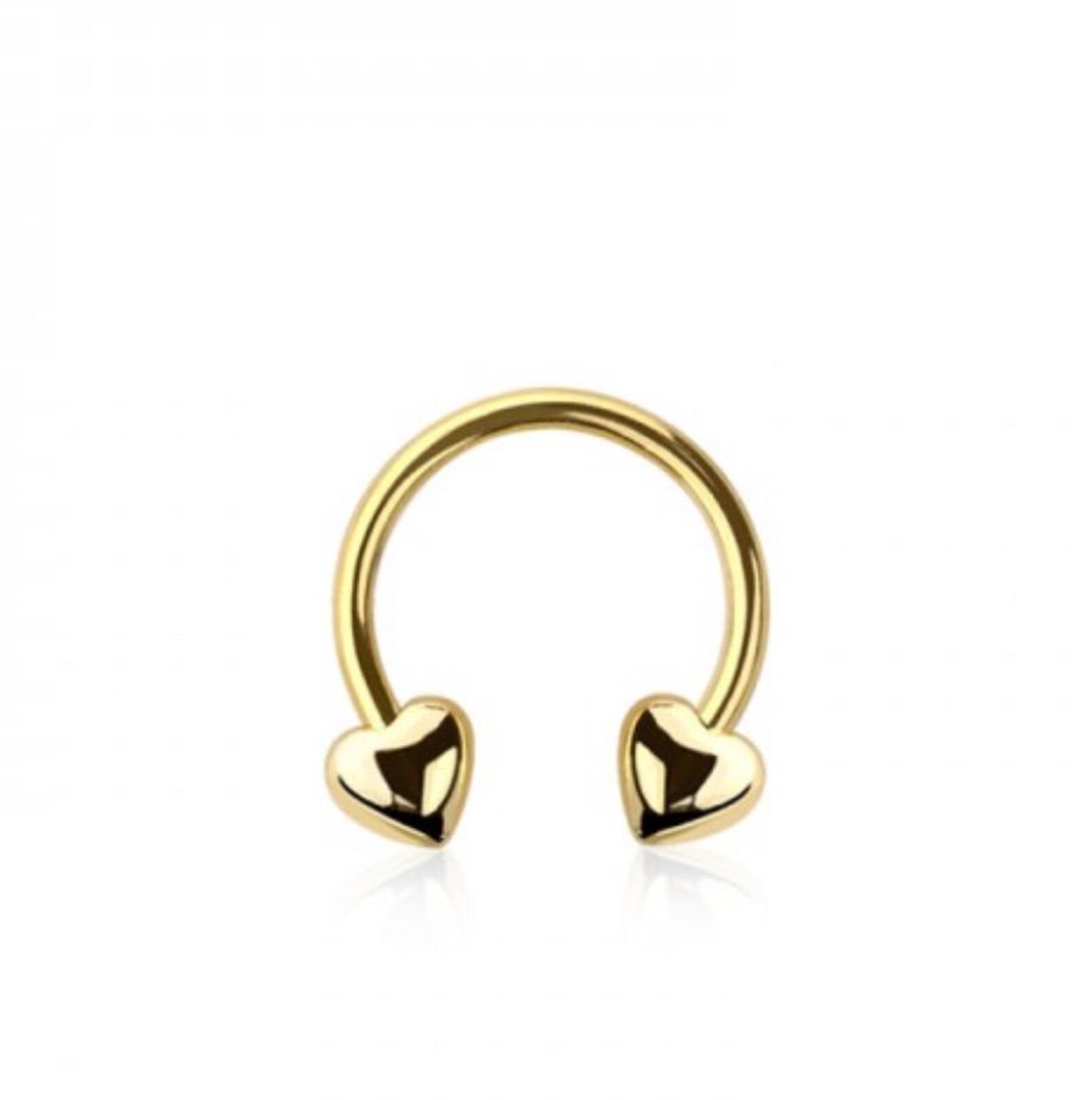 16g Heart Ends Horseshoe Piercing (single), 10mm Septum Ring and Rook ...