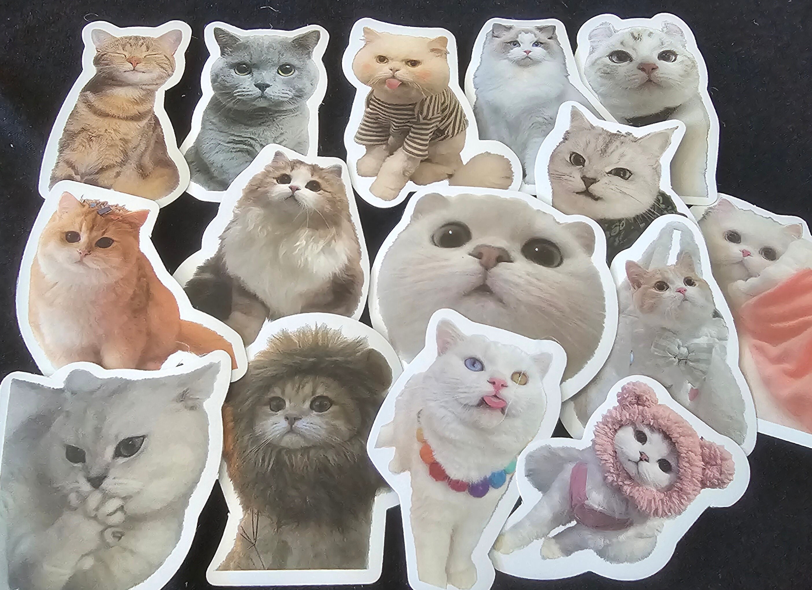 Meme Cat Stickers 15 Count Costume Cats Funny Stickers Silly Pet Lover ...