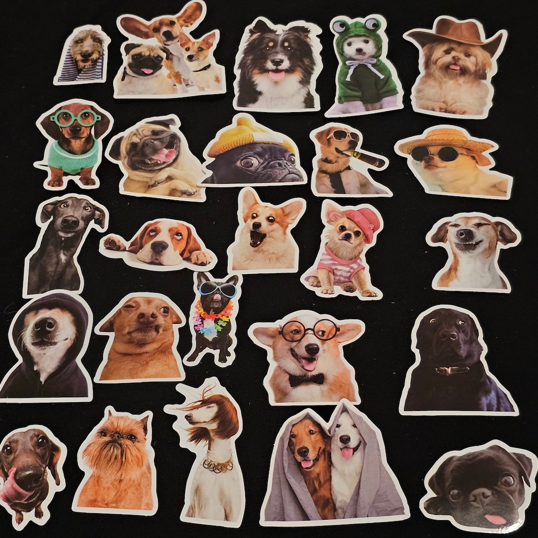 Funny Meme Dog Vinyl Stickers 25 Count Animal Stickers Pet - Etsy