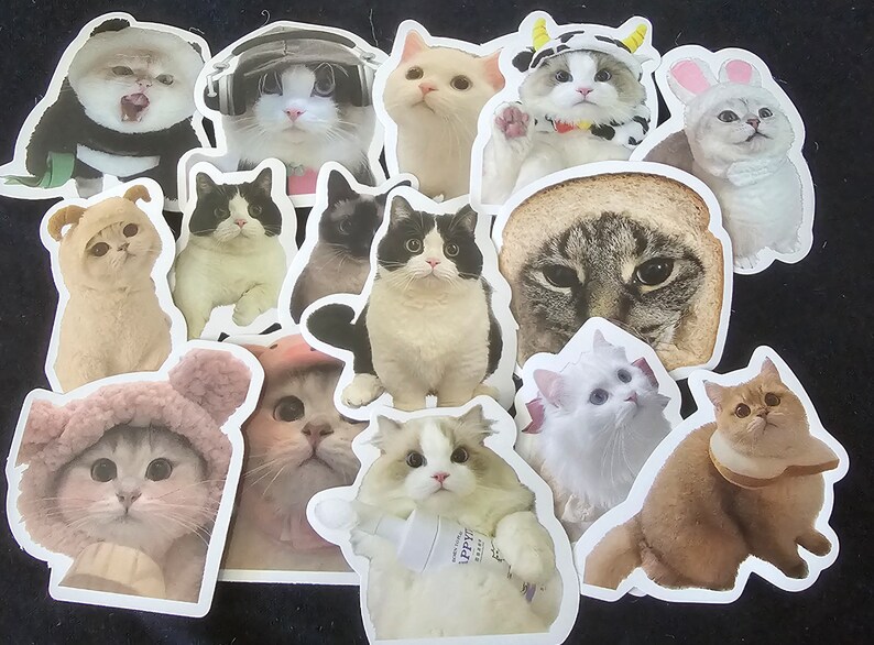 Meme Cat Stickers 15 Count Costume Cats Funny Stickers Silly Pet Lover ...
