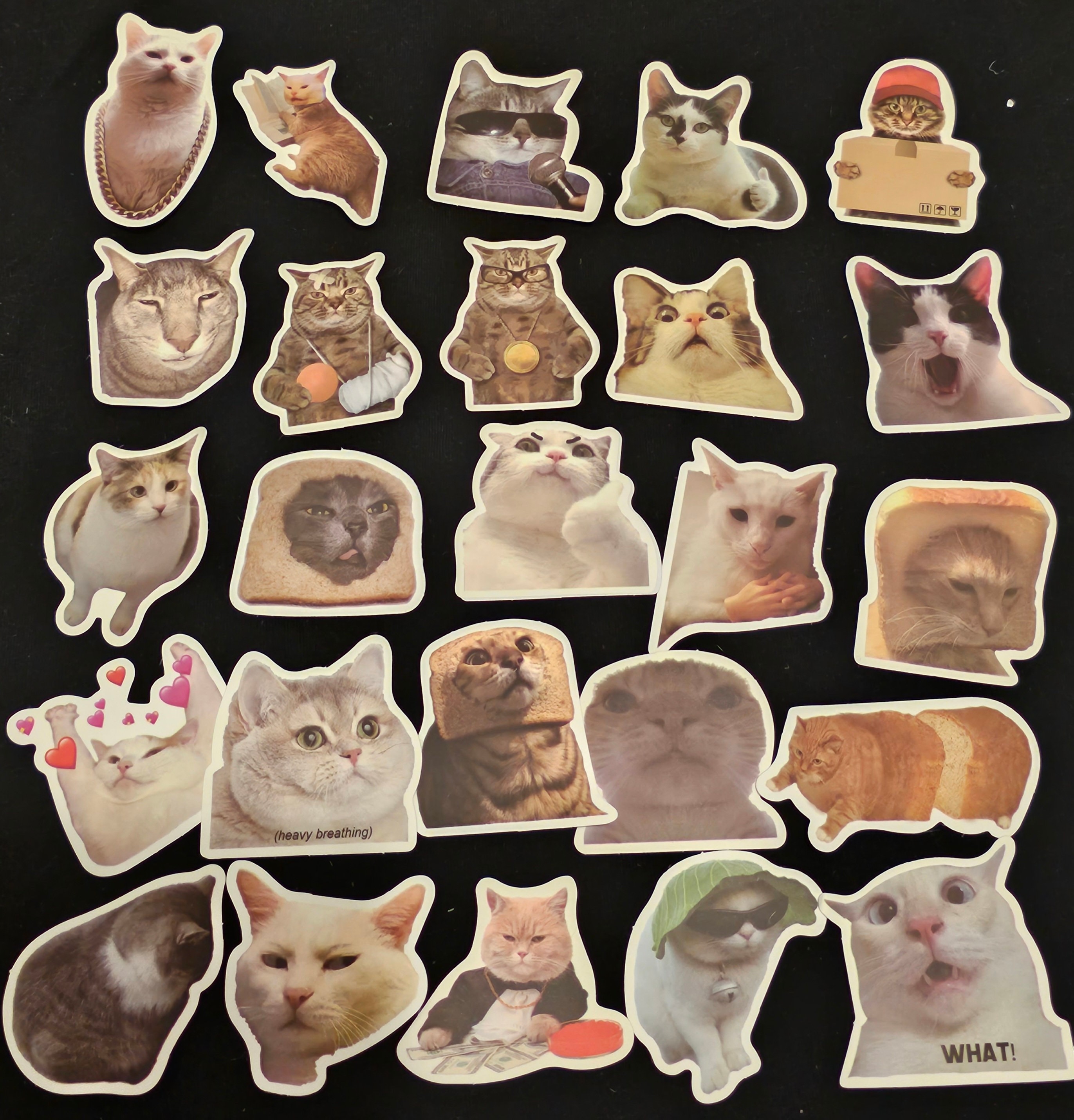Funny Cat Stickers Water Bottle 25 Count Meme Cats Funny Faces for Pet ...