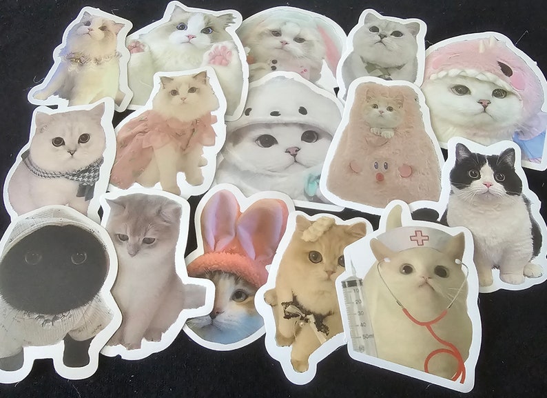 Meme Cat Stickers 15 Count Costume Cats Funny Stickers Silly Pet Lover ...