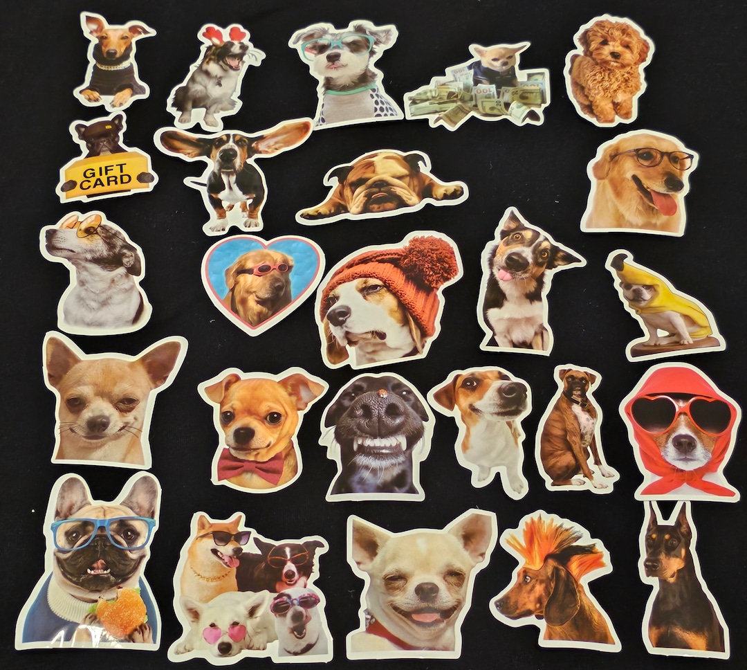 Funny Meme Dog Vinyl Stickers 25 Count Animal Stickers Pet Lover - Etsy