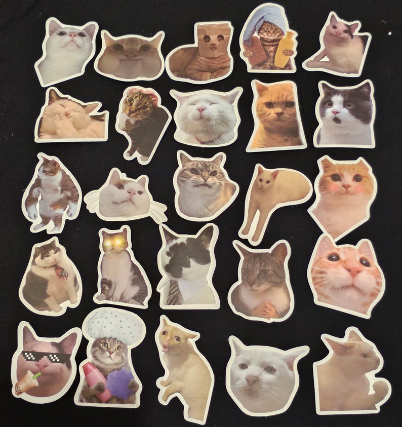 Funny Cat Stickers Water Bottle 25 Count Meme Cats Funny Faces for Pet ...