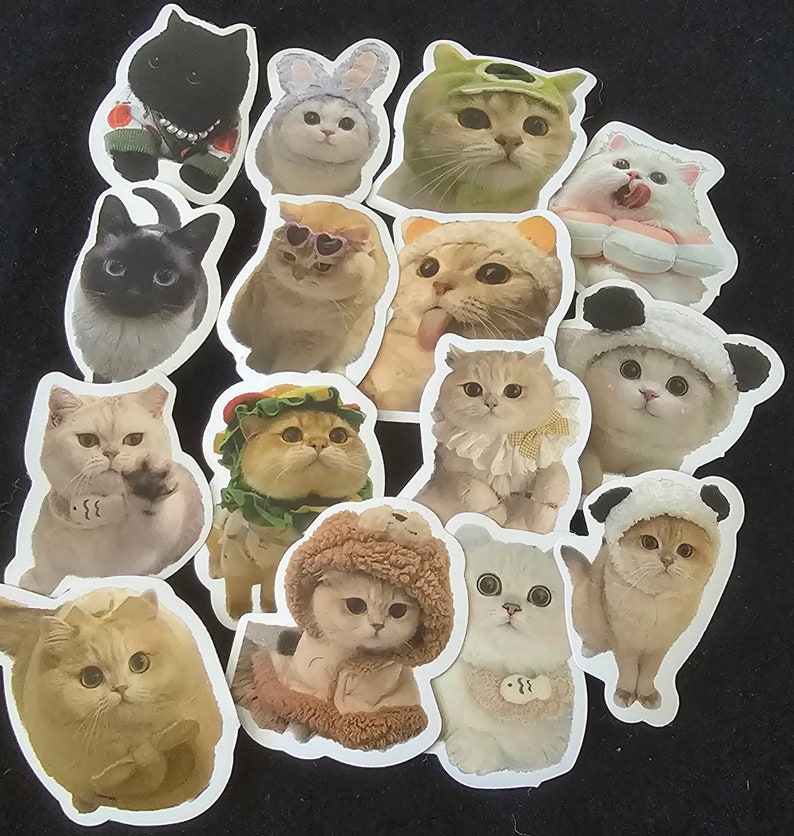 Meme Cat Stickers 15 Count Costume Cats Funny Stickers Silly Pet Lover ...