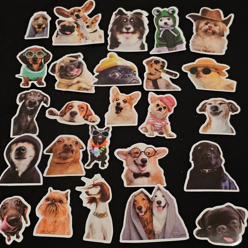 Funny Meme Dog Vinyl Stickers 25 Count Animal Stickers Pet Lover - Etsy