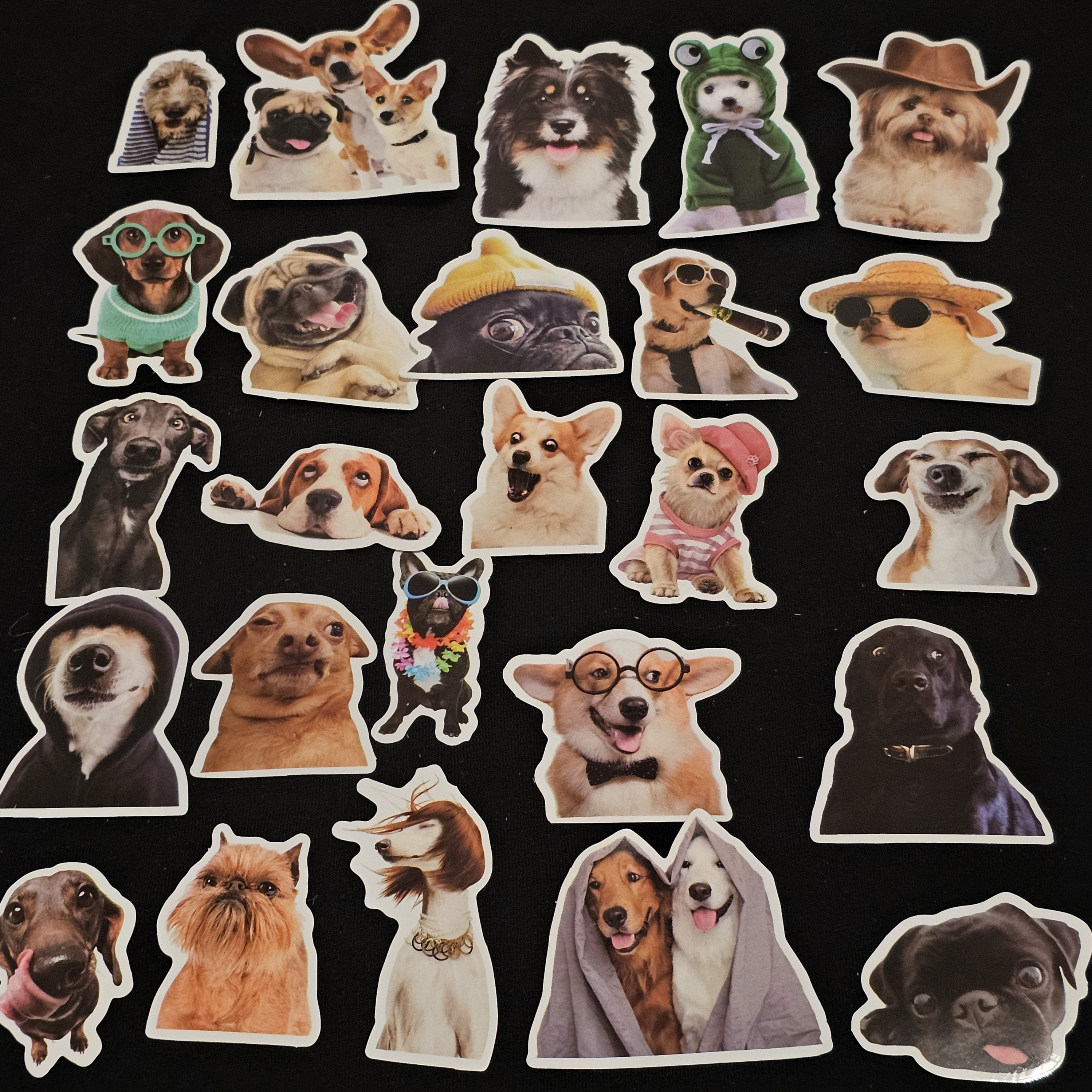 Funny Meme Dog Vinyl Stickers 25 Count Animal Stickers Pet Lover - Etsy