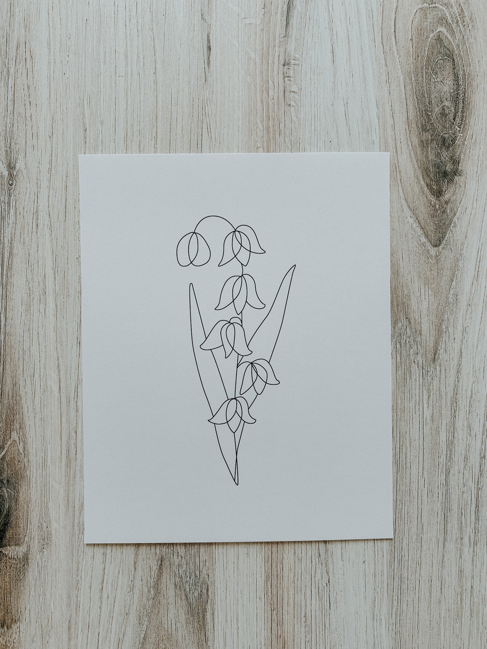 May Birth Flower Floral Line Art Birth Flower Line - Etsy