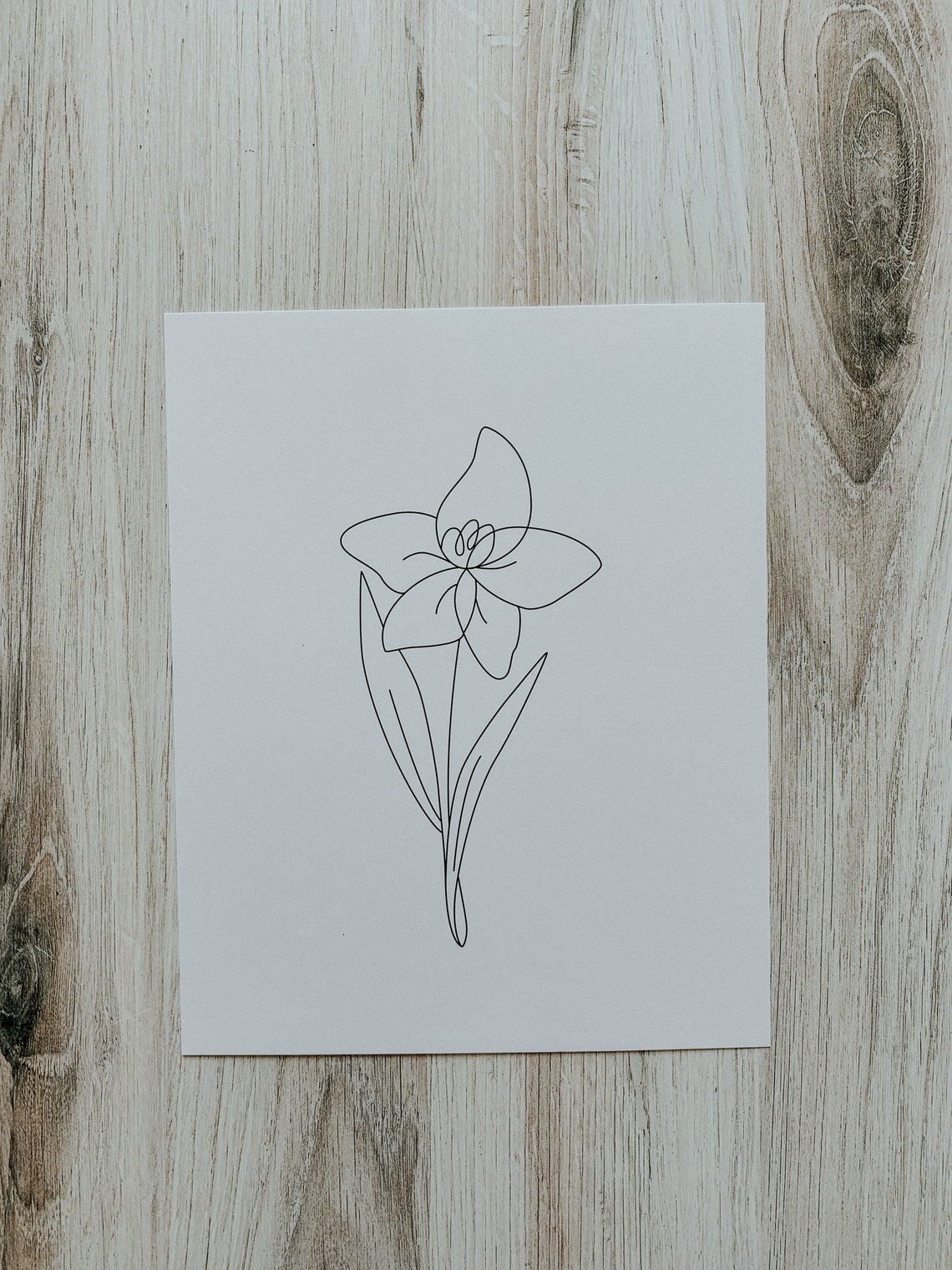 December Birth Flower Floral Line Art Birth Flower Line Illustration ...