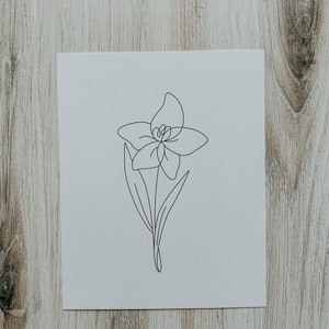 December Birth Flower Floral Line Art Birth Flower Line Illustration ...