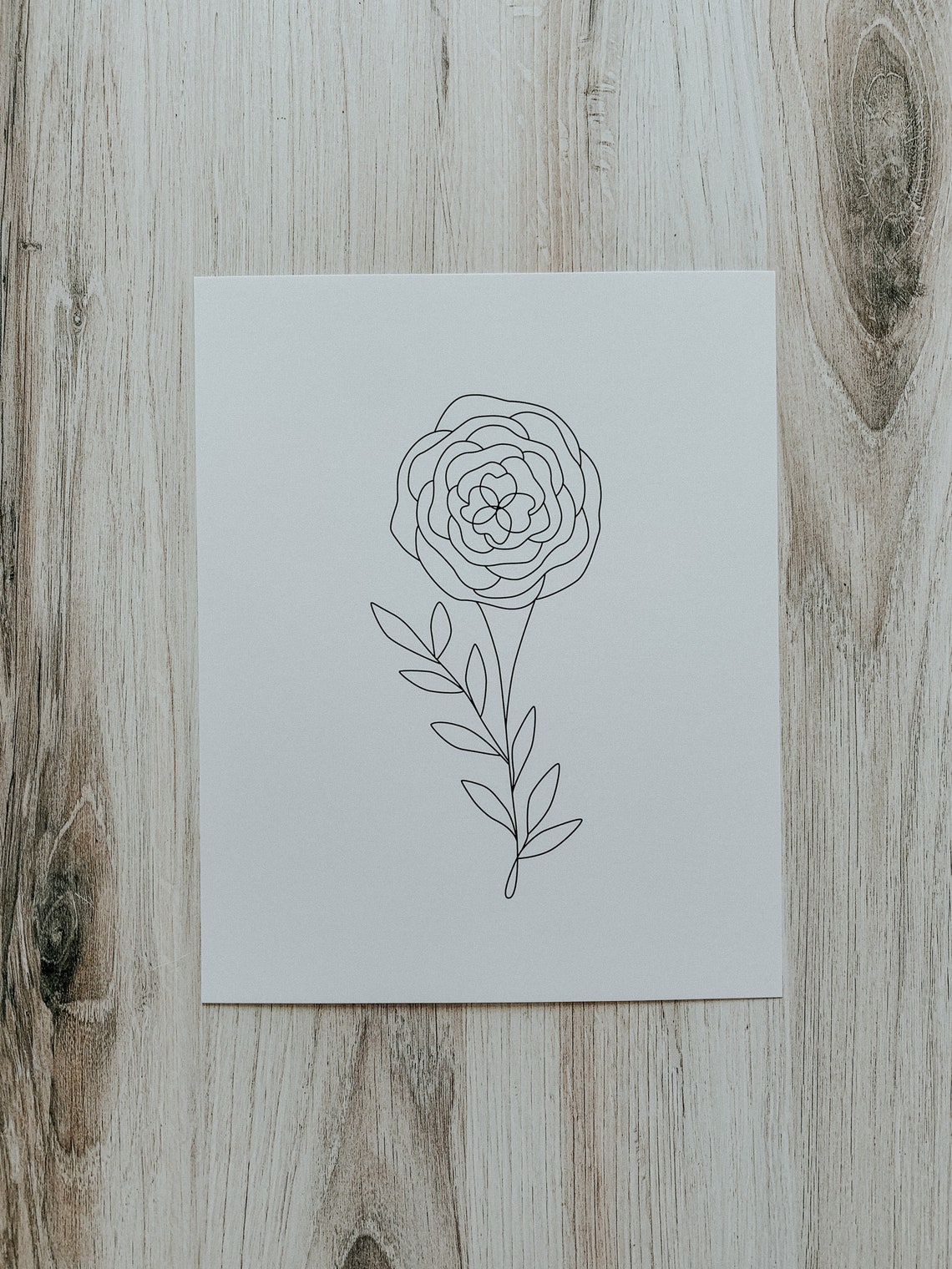 October Birth Flower Floral Line Art Birth Flower Line - Etsy