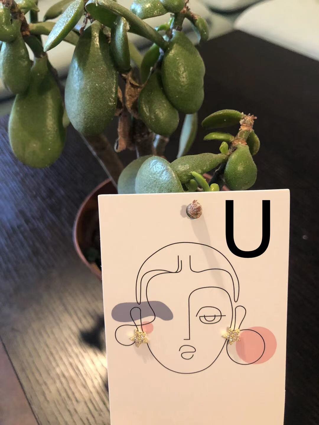 Silver 925 14k Gold Errings Real Gold With Agate Fashion - Etsy