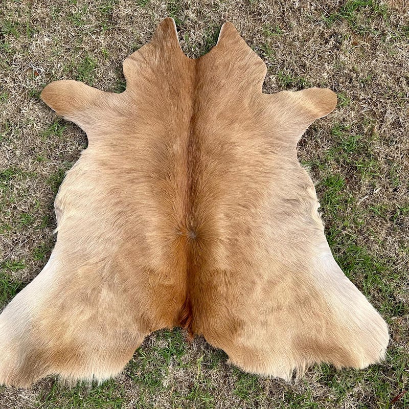 Real Animal Skin - Etsy