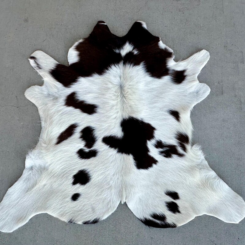 Real Animal Skin - Etsy