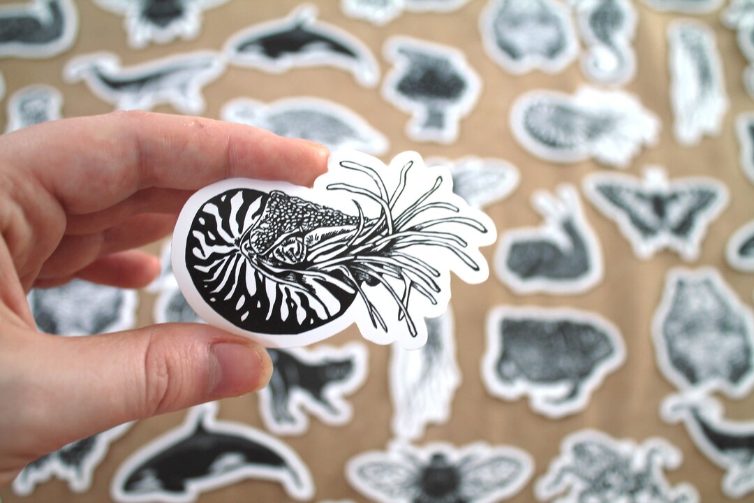 Nautilus Sticker Die Cut Art Sticker Lino Print Stickers Aesthetic ...