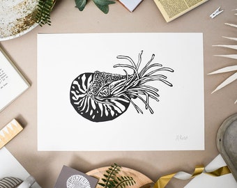 Nautilus Sea Shell Lino Print - Etsy UK