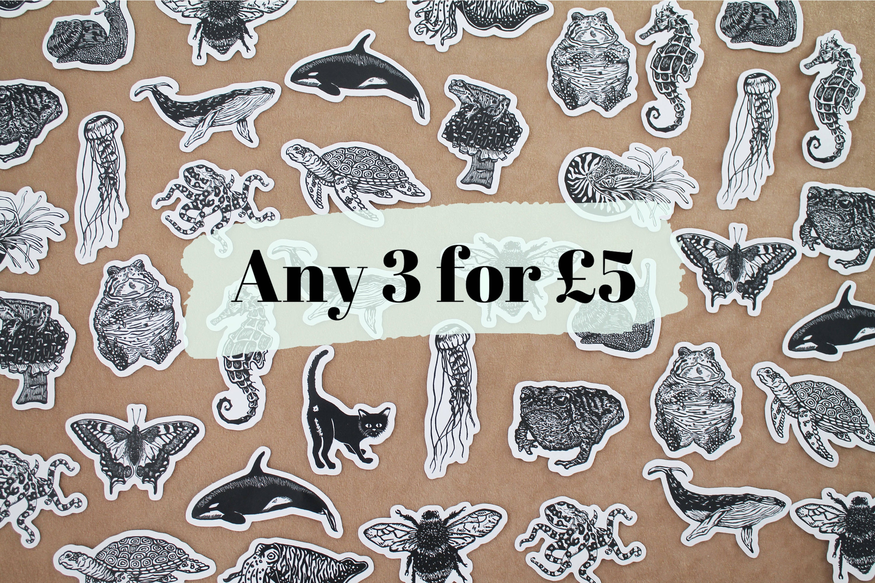 Nautilus Sticker Die Cut Art Sticker Lino Print Stickers - Etsy UK