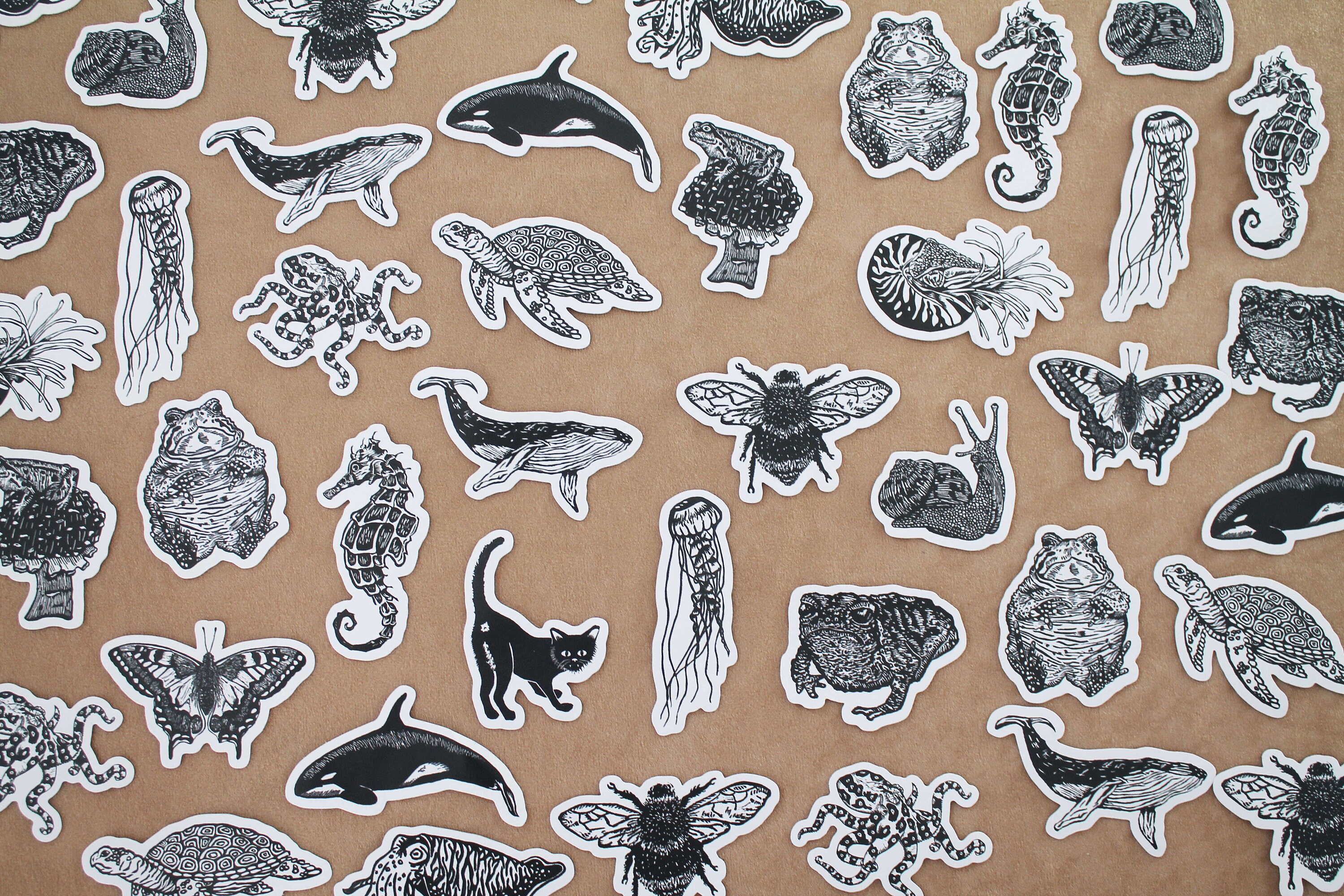 Cuttlefish Sticker Cephalopod Die Cut Sticker Nautical - Etsy