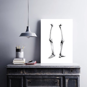 Human Anatomy Print | Skeleton Legs | Skull, Bones Poster Digital Print ...