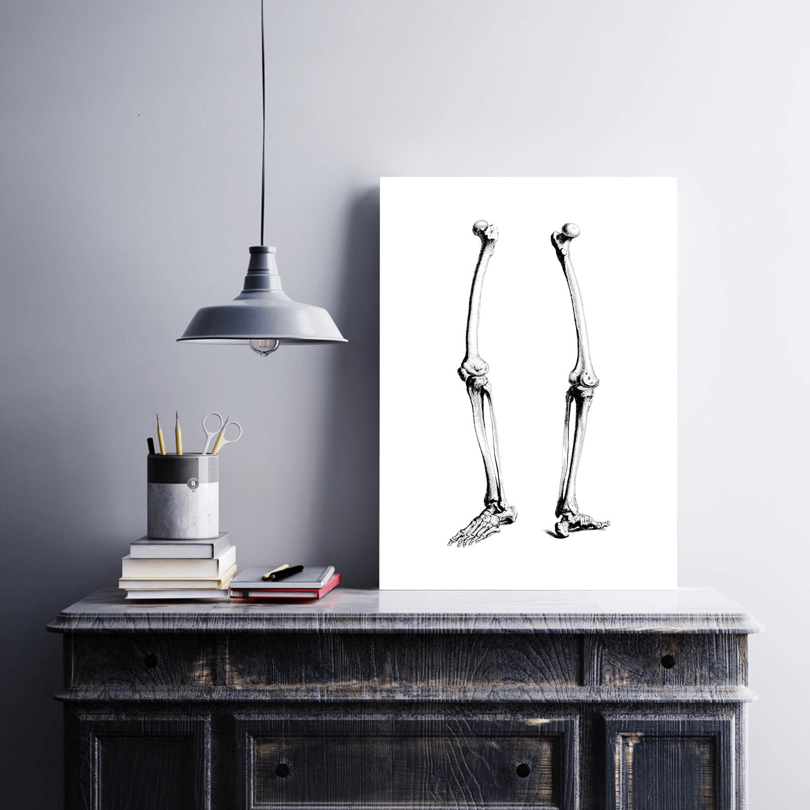 Human Anatomy Print Skeleton Legs Skull Bones Poster - Etsy Canada
