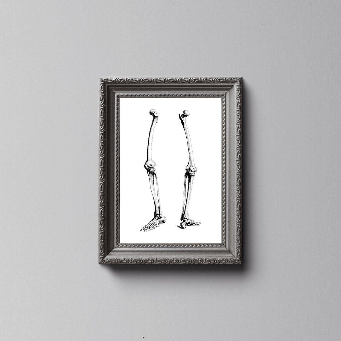Human Anatomy Print Skeleton Legs Skull Bones Poster - Etsy Canada