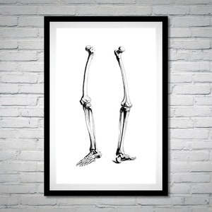 Human Anatomy Print | Skeleton Legs | Skull, Bones Poster Digital Print ...