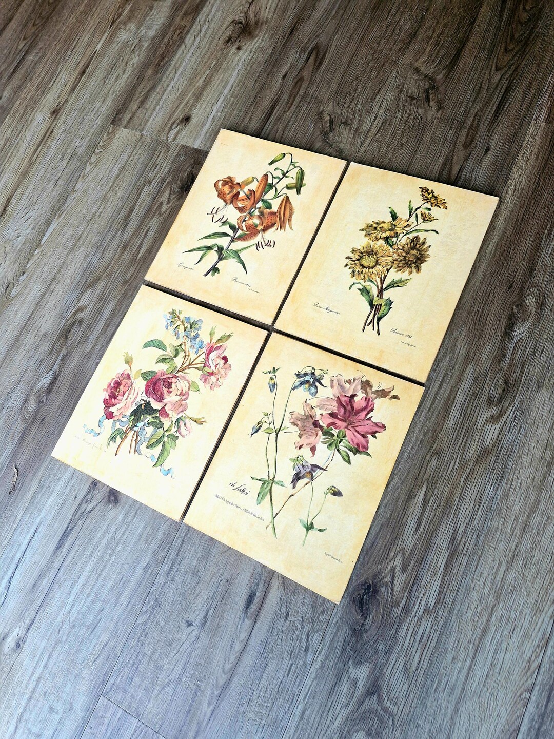Flower Frame//educational Board//botanical Frame//flowers//botanical ...