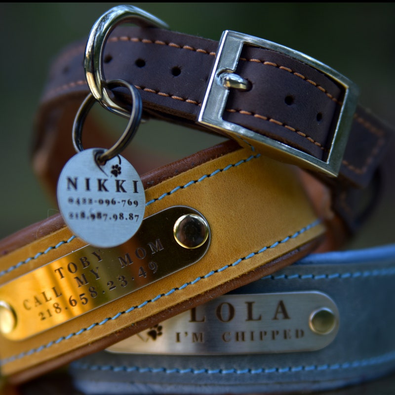 Custom Dog Collars - Etsy