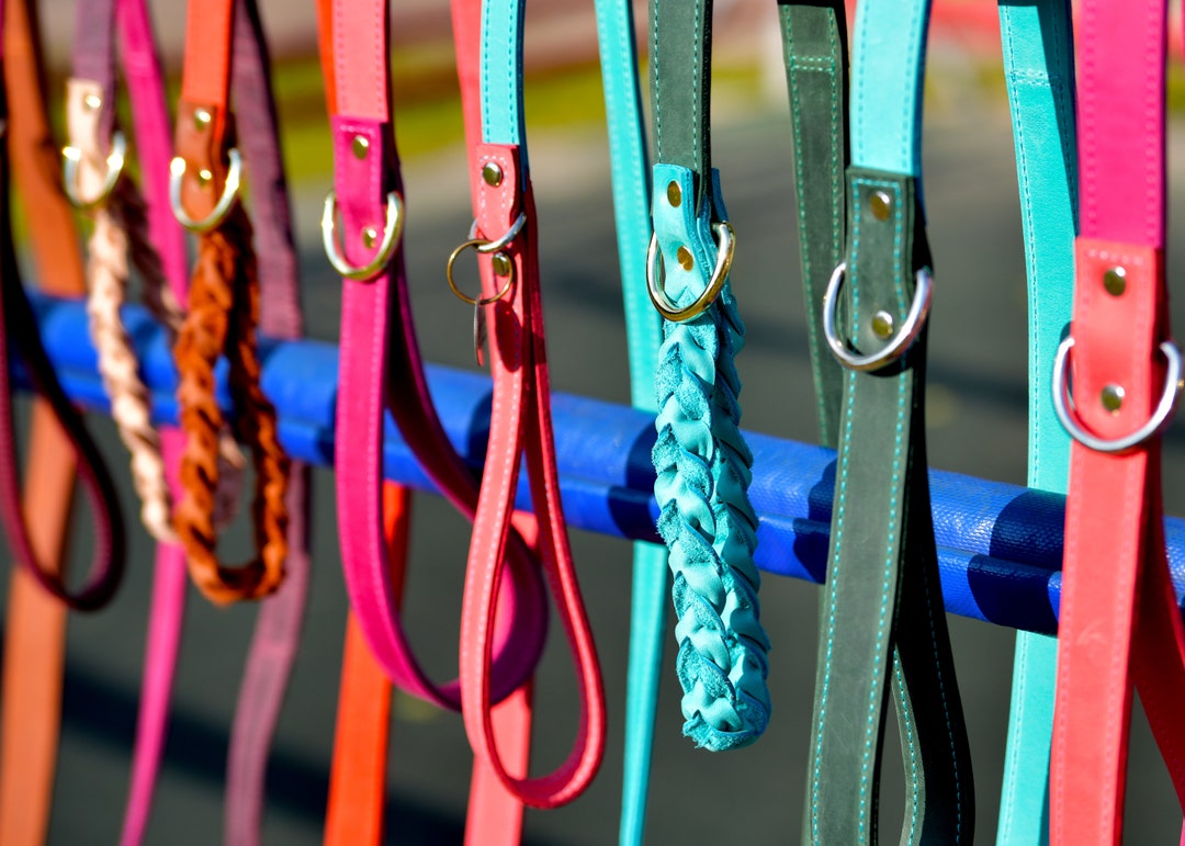 Leash for Dogs and Cats, Leads for Dogs, Pet Leather Leashes and ...