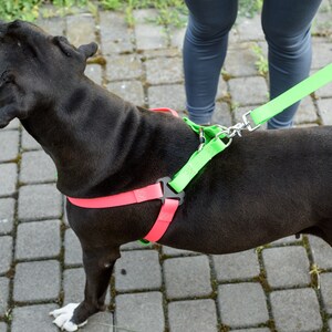 Biothane Dog Harness, Service Dog Harness, Accessories for Dogs, Gifts ...