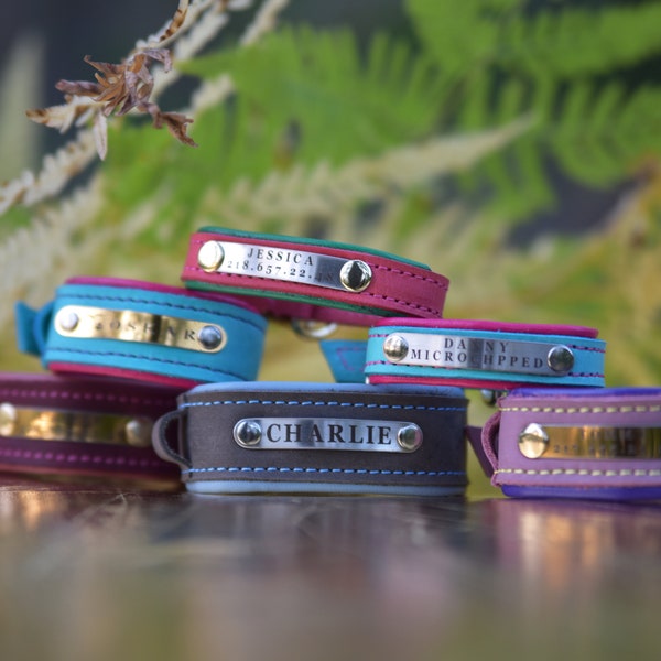 Dog Collar With Name - Etsy
