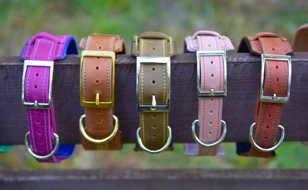 Dog Collar With Name, Custom Dog Collar With Plate, Leather Collars for ...