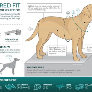 Biothane Dog Harness, Service Dog Harness, Accessories for Dogs, Gifts ...