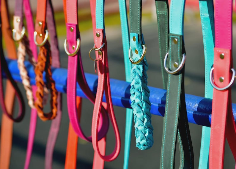 Leather Dog Lead, Dog Leash, Collars and Leashes, Leash for Dog ...