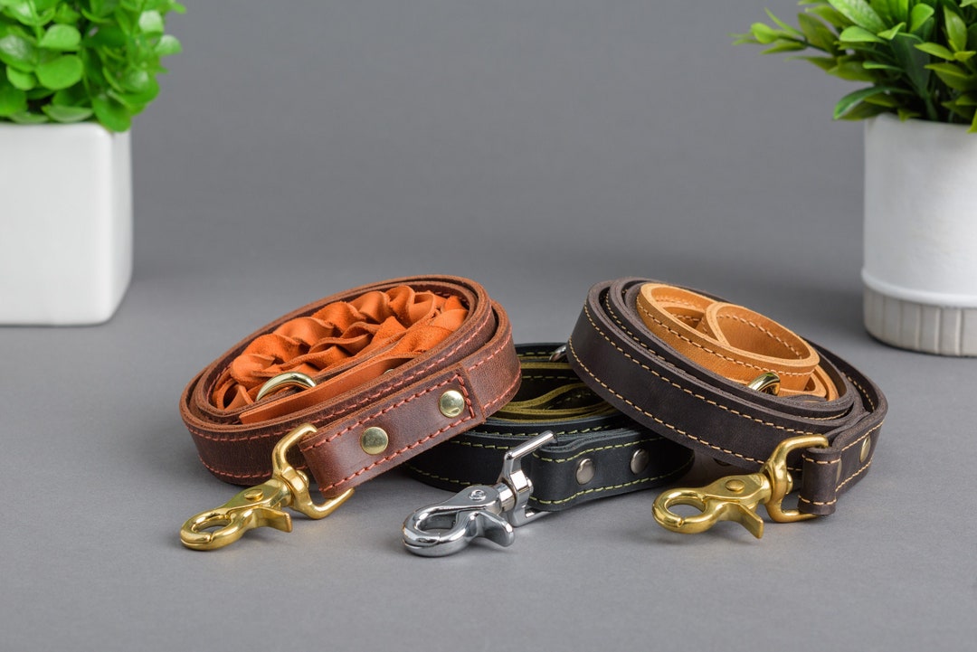 Personalized Dog Leashes, Collars and Leashes, Leather Leash for Dogs ...