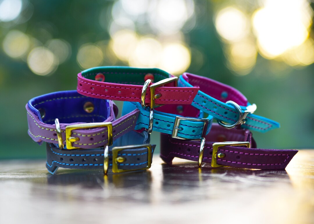 Leather Dog Collars, Dog Collar Leather, Custom Dog Collars With Name ...