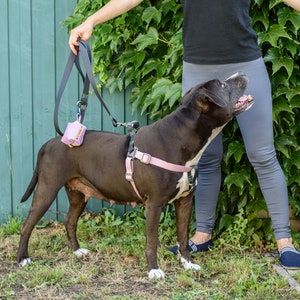 Biothane Dog Harness, Service Dog Harness, Accessories for Dogs, Gifts ...