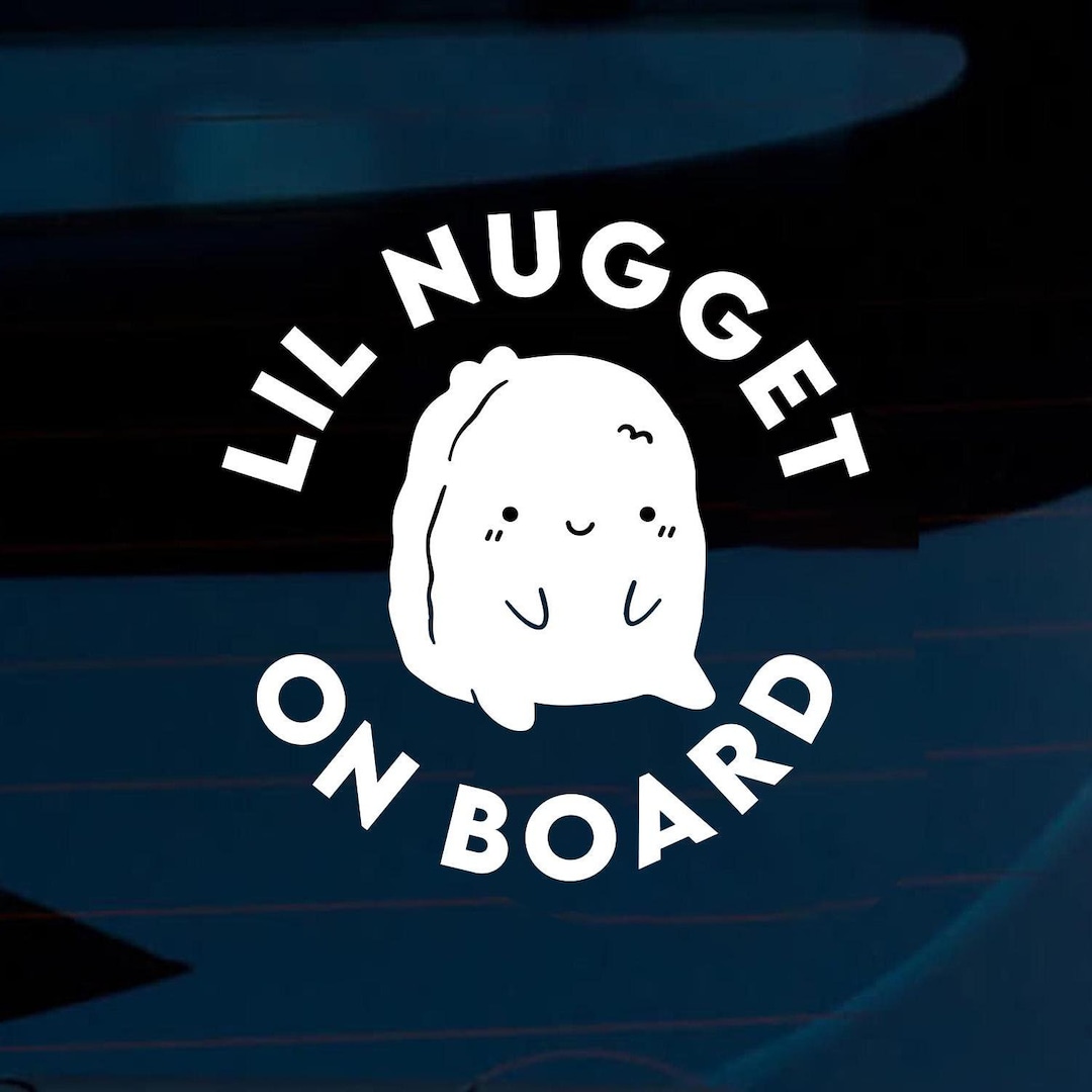 Lil Nugget Baby on Board, Baby in Car, Kids in Car, Weatherproof Car ...