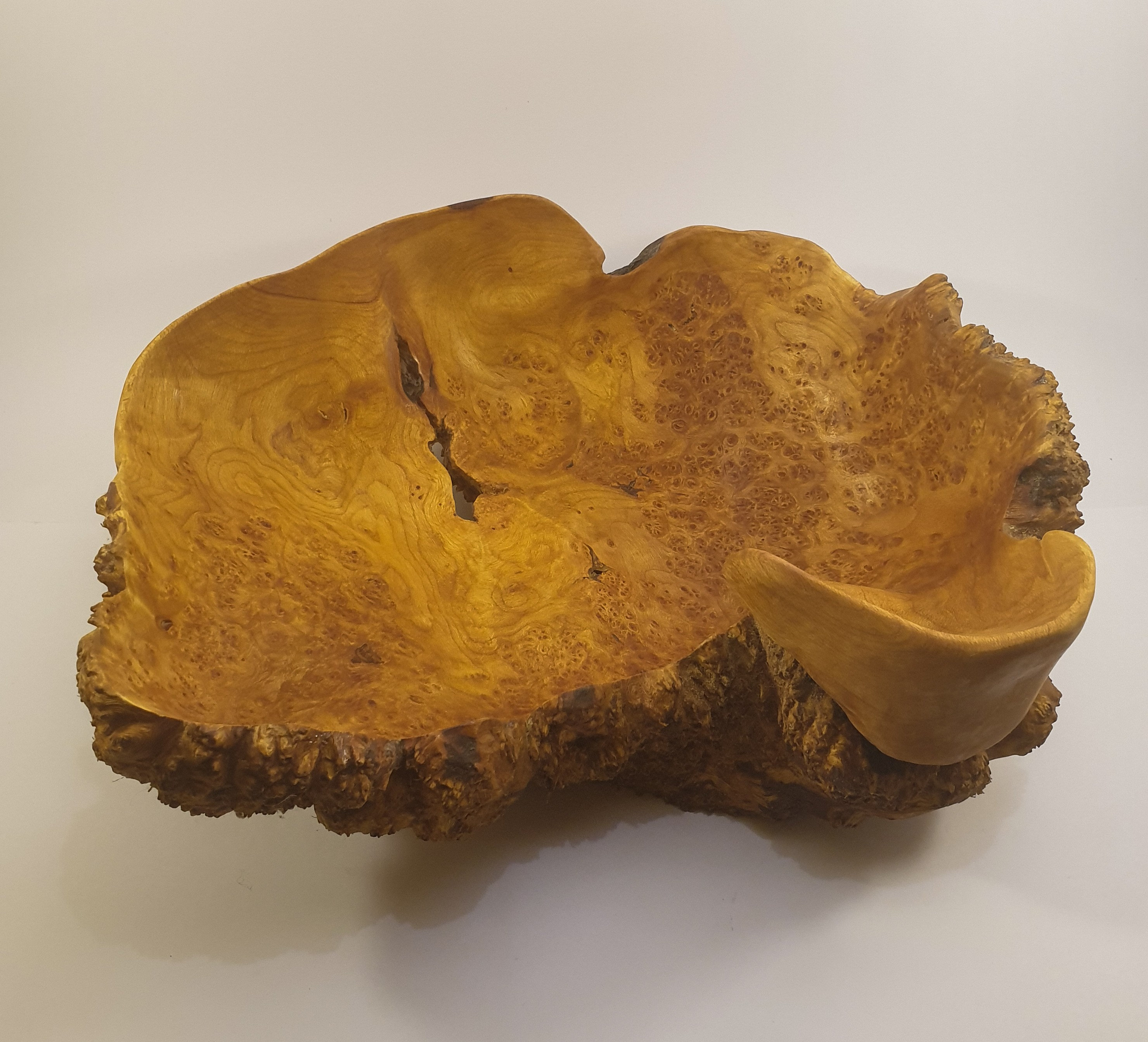 Cherry Laurel Burl Bowl - Etsy