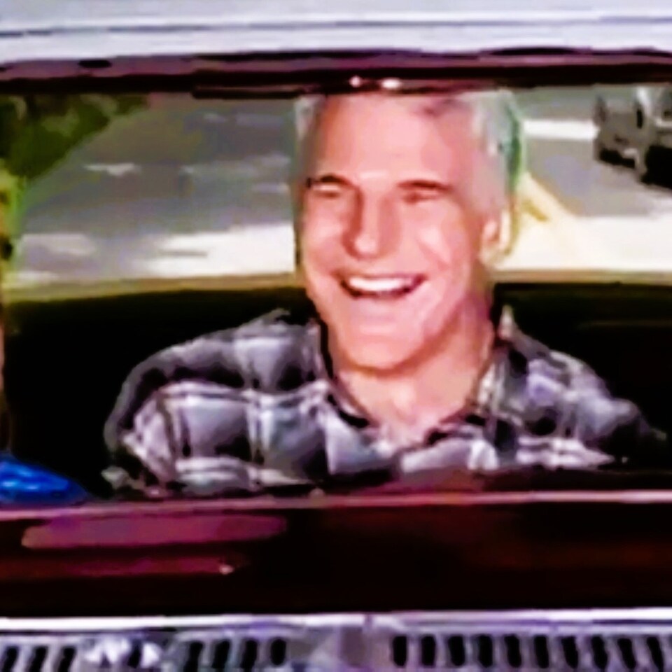 SNL Toonces the Driving Cat Car Sun Shade sold by Rosalie Random | SKU ...