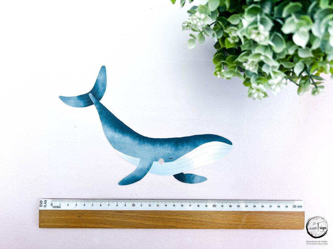 Large Iron-on Transfer whale Foam Bath / Whale - Etsy