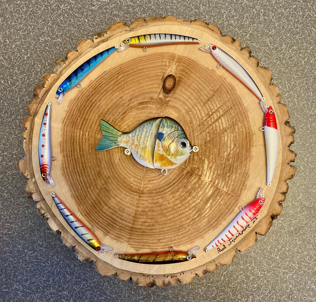 Sunfish Wall Hanging Surrounded by Minnow Lures - Etsy