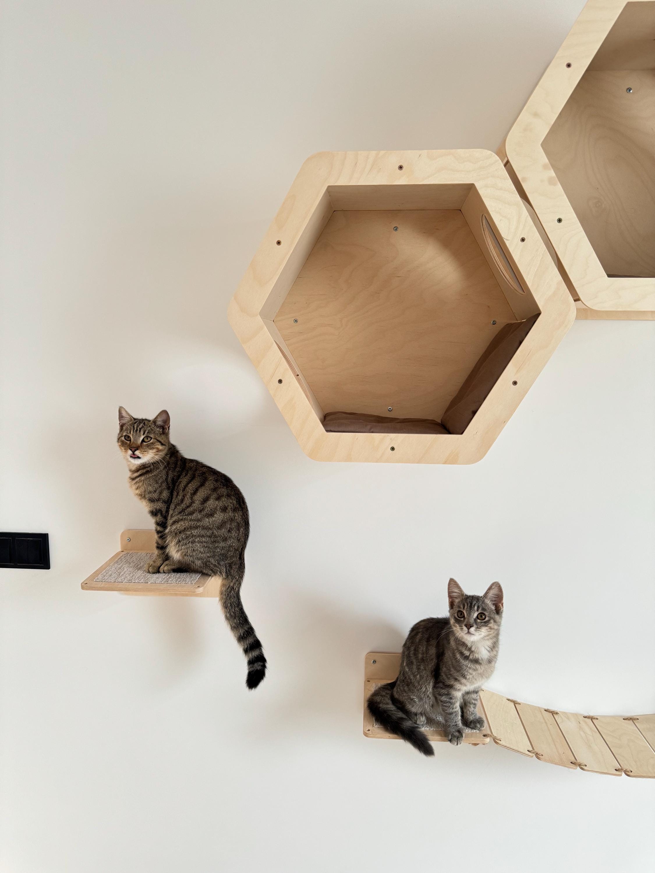 Wiklibox Cat Step for Wall. Cat Steps for the Wall, Cat Stairs. Cat ...