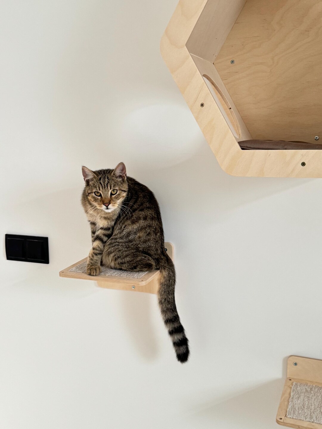 Wiklibox Cat Step for Wall. Cat Steps for the Wall, Cat Stairs. Cat ...