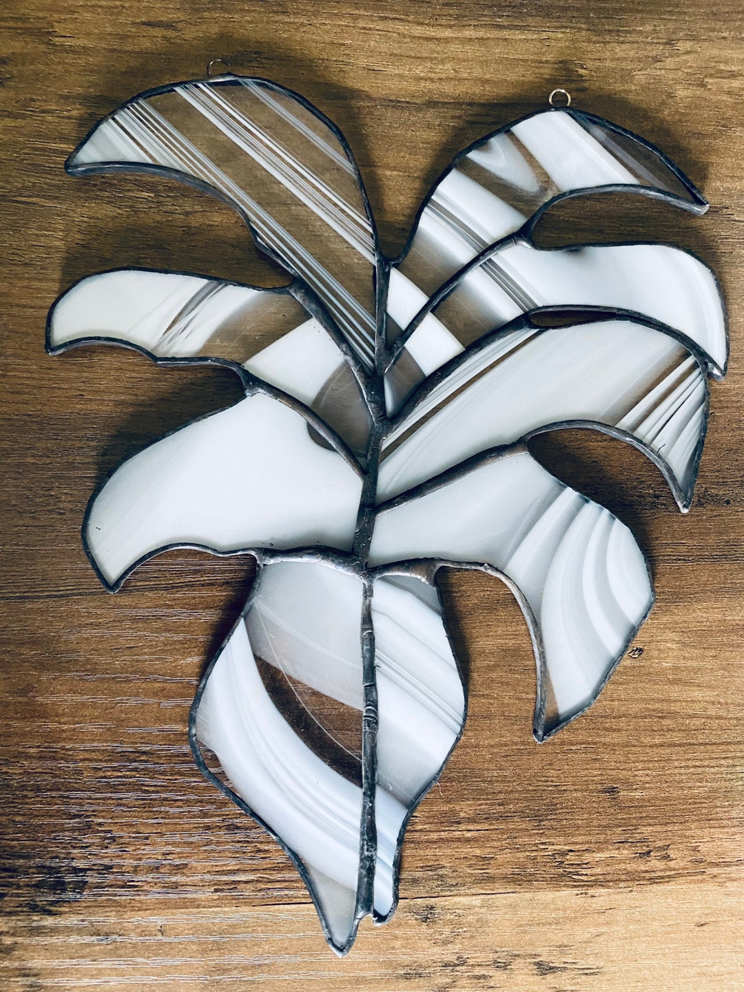 Stained Glass Monstera, Monstera Plant, Monstera Deliciosa, Swiss ...